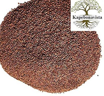 Kapebonavista Lajwanti Seed Chui MUI Humble Plant Seed Mimosa Pudica ...