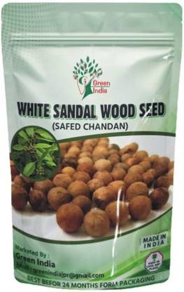 Green India White Sandalwood seeds white chandan seeds, Santalum album ...