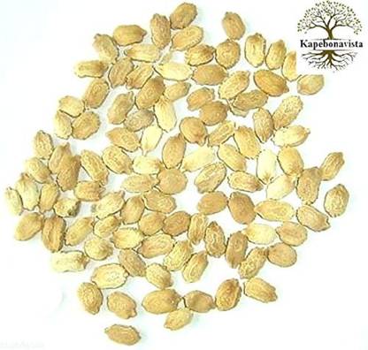 MAXKIA Karela Beej Karale Seeds Bitter Gourd 50 seeds Seed Price in ...