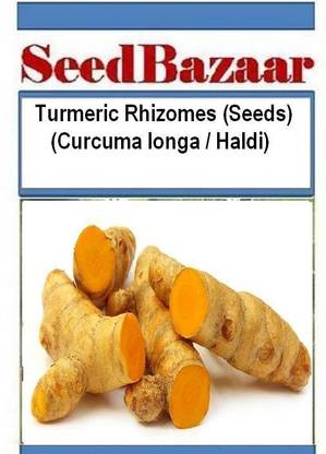 Seedbazaar Haldi, Curcuma longa, Turmeric Seed Price in India - Buy ...