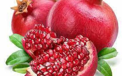 Heaven Of Saplings Pomegranate Plant Price in India - Buy Heaven Of ...