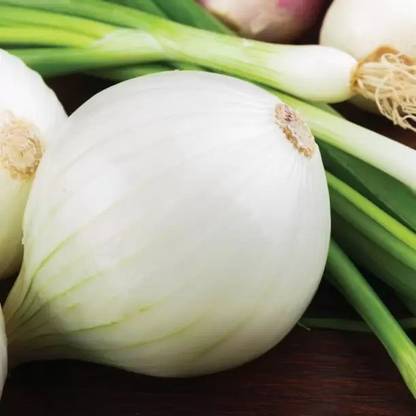 Aro Onion white, Onion Seed Price in India - Buy Aro Onion white, Onion ...