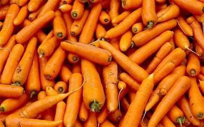 MAA Carrot, Gajar Seed Price in India - Buy MAA Carrot, Gajar Seed ...