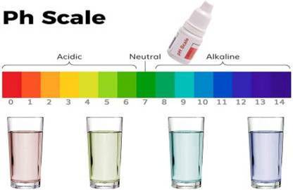 Urine Ph Color Chart