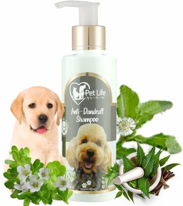 What Is A Good Dog Shampoo For Dandruff