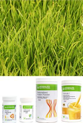 HERBALIFE AFRESH LEMON 50gm+CELL-U-LOSE+PROTIEN 400gm+FORMULA 1 MANGO ...