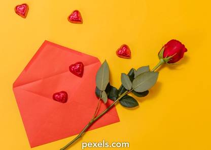 Flower POSTER, Rose POSTER, Rose Flower Poster for Wall, Flowers Poster ...