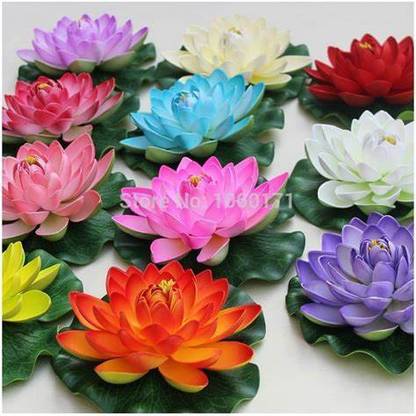 CARIBBEAN Floating Multi color Lotus Seed Price in India - Buy ...