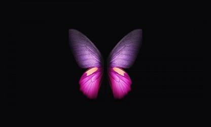 butterfly poster & Titli POSTERS, Dragonfly Poster, Insects Poster ...