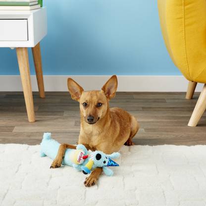 Dog Poster, Puppy Dog POSTER, Cute Dog Poster, Dogs Poster, ANIMALS ...