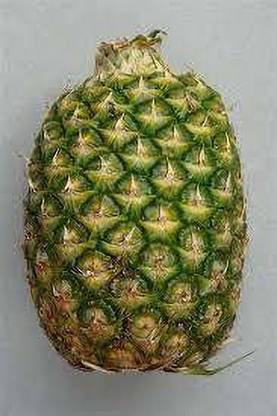 PINEAPPLE WITHOUT CROWN 1 kg Price in India - Buy PINEAPPLE WITHOUT ...