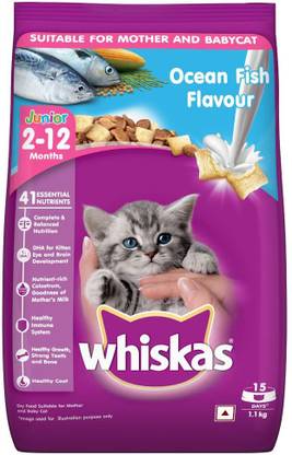 Whiskas Junior Ocean Fish Dry Kitten Food Fish 1.1 kg Dry New Born ...