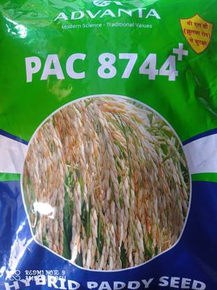 UPL Advanta 8744+ Seed Price in India - Buy UPL Advanta 8744+ Seed ...