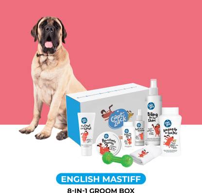 How Do You Groom English Mastiff