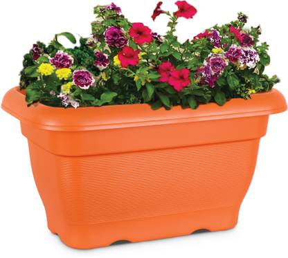 MILTON Rectangle Blossom Mate 1 Plastic Planter, 15 Litres, 1 Pc, Brown ...