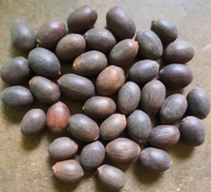 sharpvaishno KAMAL KATTA Seed Price in India - Buy sharpvaishno KAMAL ...