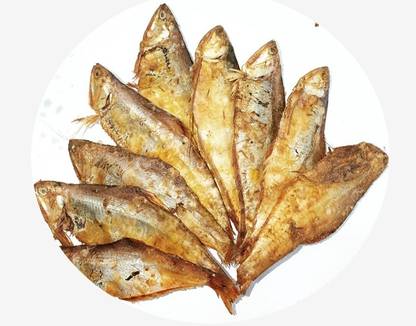 M/S Raja Dey Baspati/ Baspata/Telesh (Hairfin Anchovy) Sidol/Shidol ...