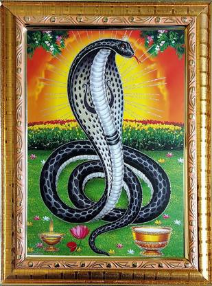 Shyam Framing Art "Lord Goga maharaj" Nagdevta Religious Frame Price in ...