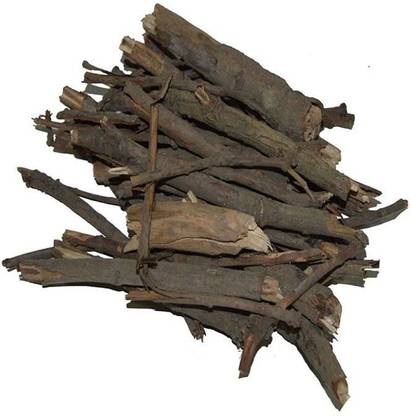 HERBALISM Shami ki Lakdi tree Banni Tree Vanni Tree Prosopis cineraria ...