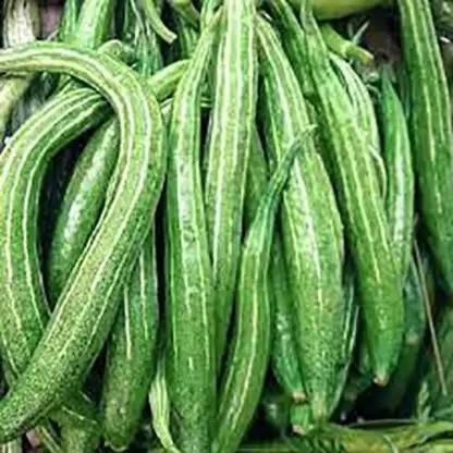Aro Snake Gourd, Chichinda Seed Price in India - Buy Aro Snake Gourd ...