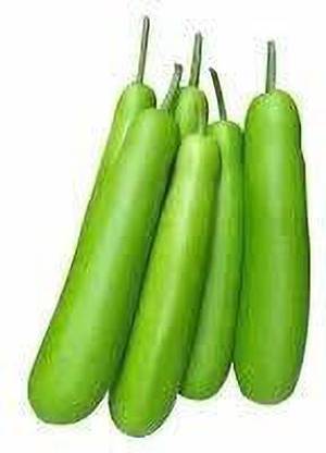 KANAYA BottleGourd(Lauki) Seed Price in India - Buy KANAYA BottleGourd ...