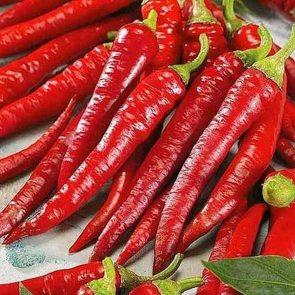 WILLVINE HUA-58 Hot Long Red Chilli Heirloom Non GMO Seeds Seed Price ...