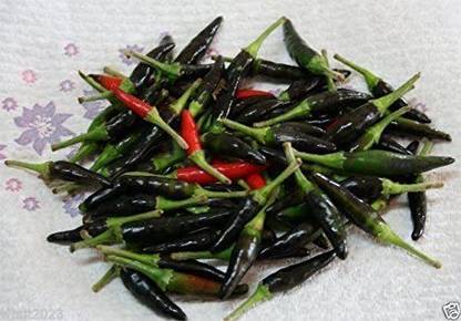 Biosnyg Vietnamese Devil Chilli Seed Price in India - Buy Biosnyg ...