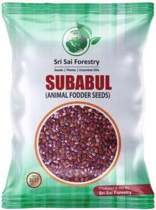 SRI SAI FORESTRY Hybrid Subabul Fodder Seeds, Natural Green Manure ...