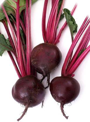 Real Seed Beet Root (Chukandar) F1 Hybrid Vegetable Seeds Seed Price in ...