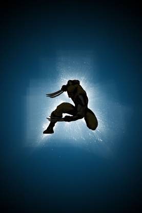 Wolverine in Action Paper Print - Movies posters in India - Buy art ...