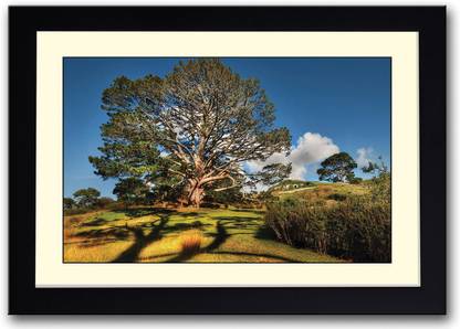 Beautiful Tree Fine Art Print - Nature posters in India - Buy art, film ...