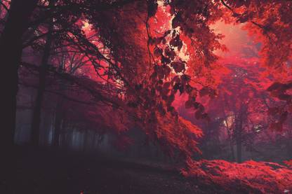 NETURAL PHOTO POSTER Paper Print - Nature posters in India - Buy art ...