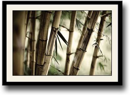 Bamboo Tree Fine Art Print - Floral & Botanical posters in India - Buy ...