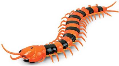 Grabby Remote Control Centipede Scolopendra Creepy Crawly Toy - Remote ...