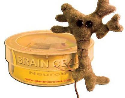 GIANT Microbes Giantmicrobes Brain Cell (Neuron) Petri Dish - 45 inch ...