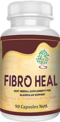 Ayurveda Yogashram Remedies Fibro Heal Ayurvedic Medicine For Uterine ...