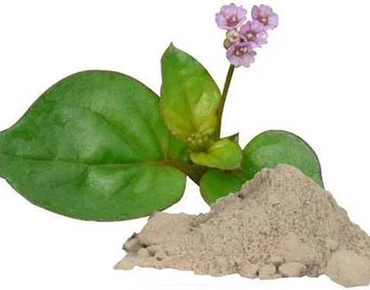 1Ratti - RATTI RATTI ME PURITY 1Ratti Punarnava Powder ( Boerhavia ...