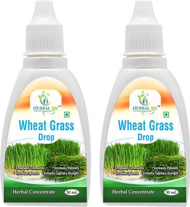 Herbal Yug Wheat Grass Drops With Ayurvedic Wheat grass drops,natural ...