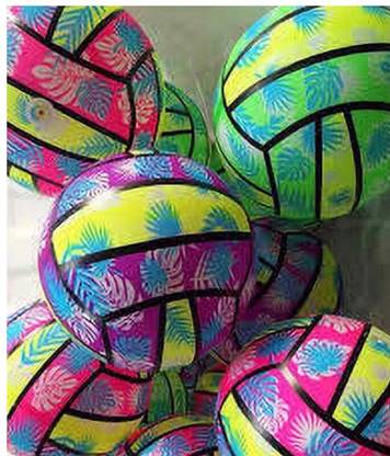 Weber Multicolor Beach Ball Rubber Moulded Ball Multicolor , 1 Ball ...