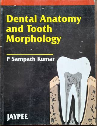 DENTAL ANATOMY AND TOOTH MORPHOLOGY: Buy DENTAL ANATOMY AND TOOTH ...