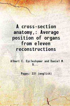 A cross-section anatomy, Average position of organs from eleven ...