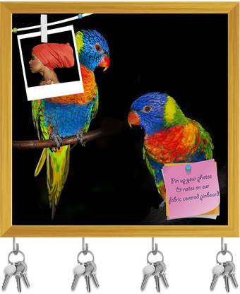 Artzfolio Rainbow Lorikeet Parrots Pinboard with Key Holder Hooks ...