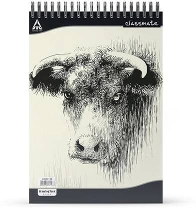 Classmate Drawing Book Regular Notebook Unruled 40 Pages Price in India ...