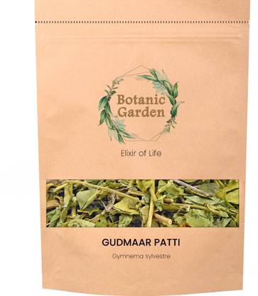 botanic garden Raw Gudmar Patti | Gymnema sylvestre | Meshashringi ...