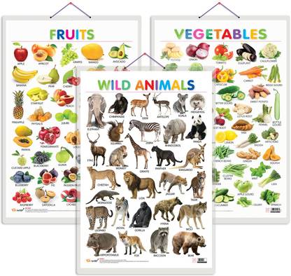 Set of 3 Fruits, Vegetables and Wild Animals Early Learning Educational ...