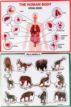 moreyaji Wooden Human Internal organs and Wild animals Puzzles with ...