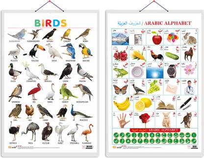 GO WOO Pack of 2 Birds and Arabic Alphabet (Arabic) Educational charts ...