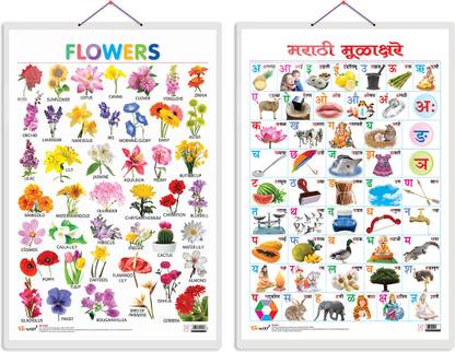 GO WOO Pack of 2 Flowers and Marathi Varnamala (Marathi) Educational ...