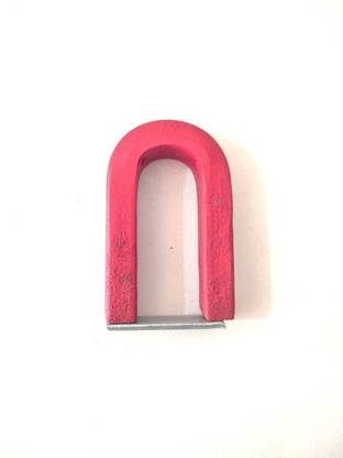 NORTONKIT NKIT-MAGNETIC U SHAPE Multipurpose Office Magnets Pack of 1 ...