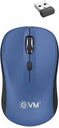 EVM WM009 Wireless Optical Mouse - EVM : Flipkart.com